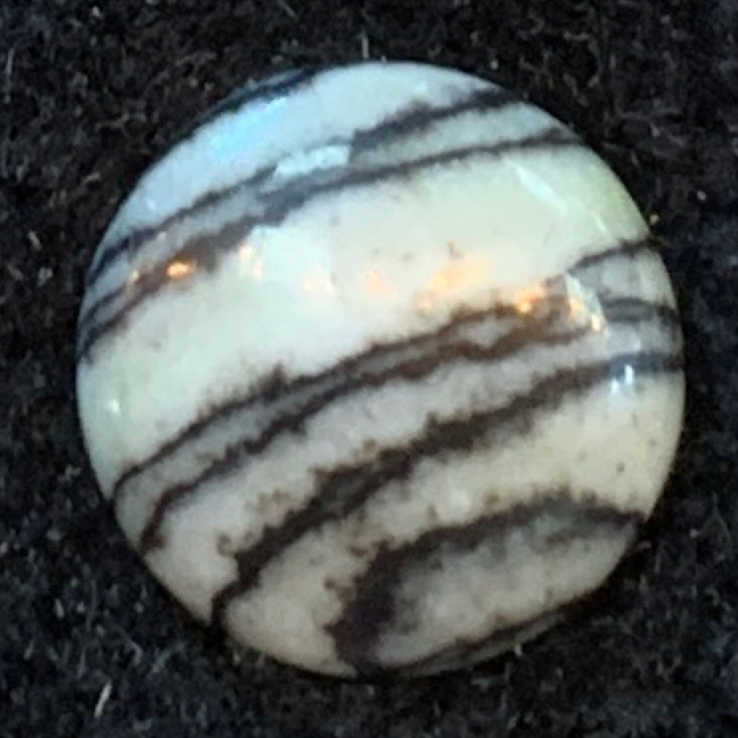 1/2” Zebra Agate | Delicious Ink Tattoo